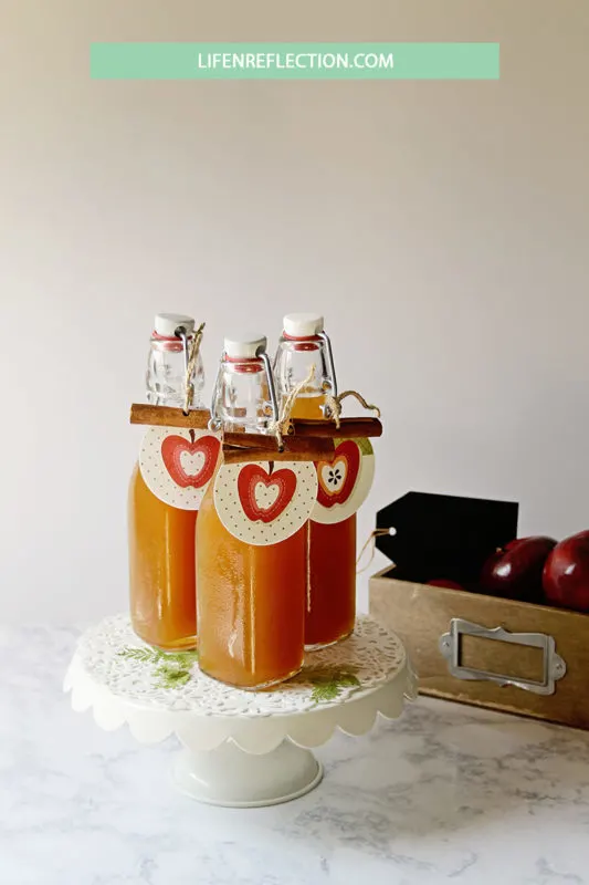 15 apple crafts and DIYs - all crafty things