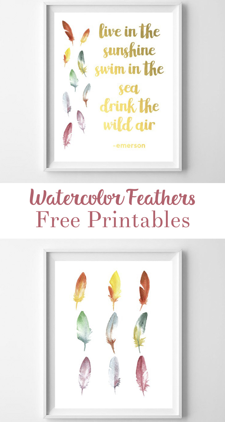 watercolor feathers free printable art - all crafty things